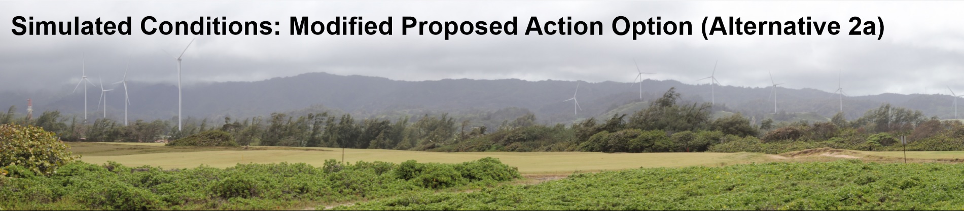 Social and Economic Justice | Honolulu Approves Construction of Most ...